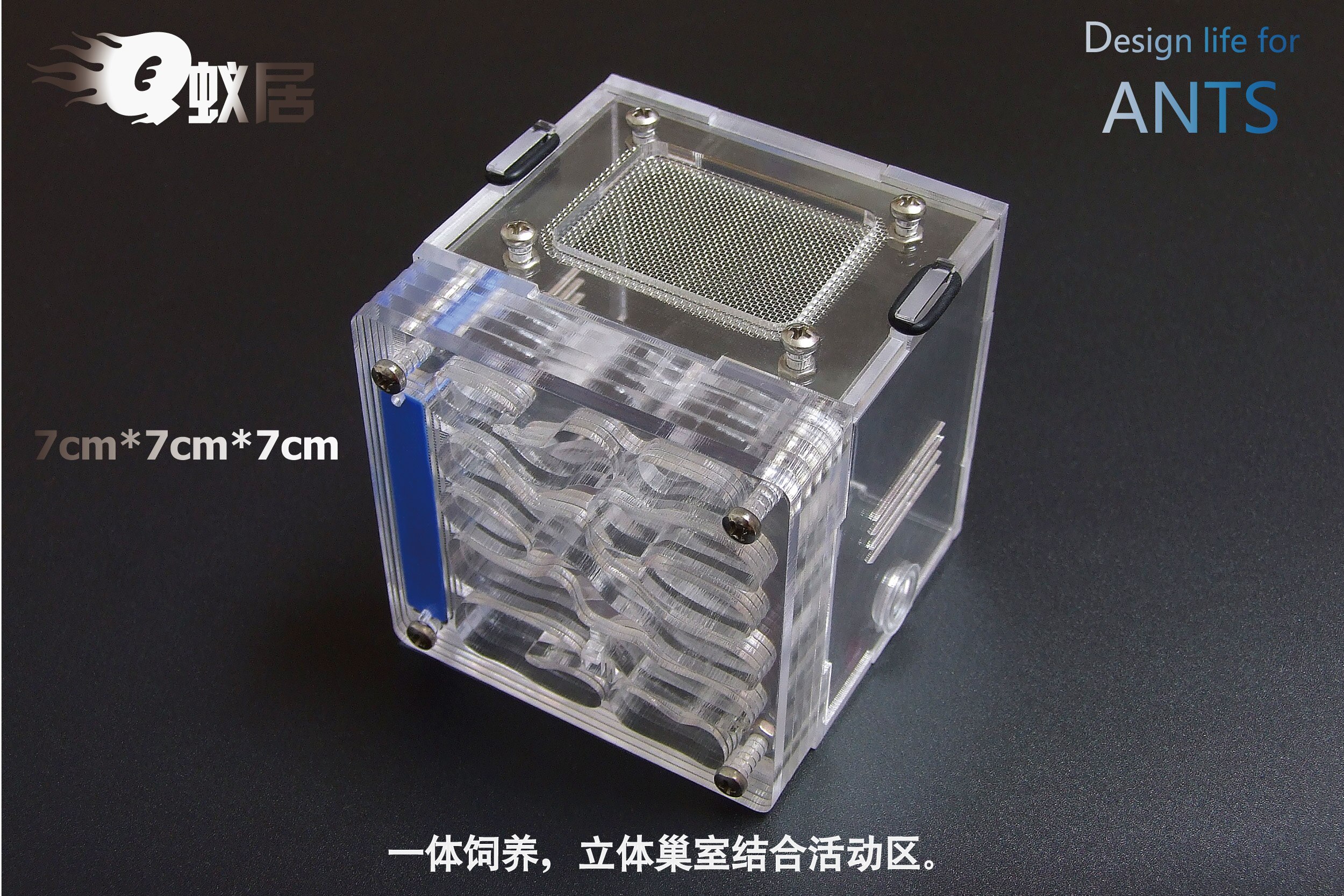 Pet Ant/Q Formic House/Acrylic Nest/Ant Villa/Ant ... – Grandado