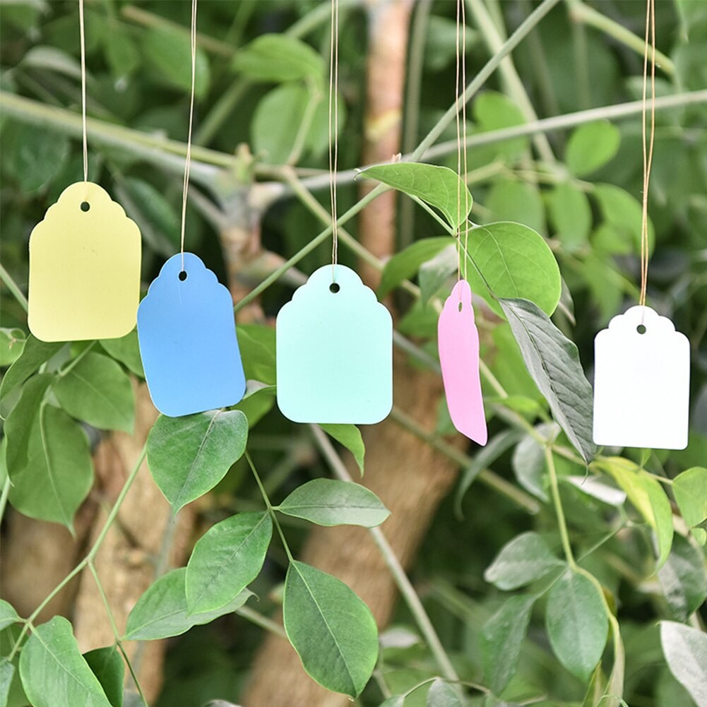 100Pcs Tool Hanging Tags Vegetable Waterproof Gard... – Grandado