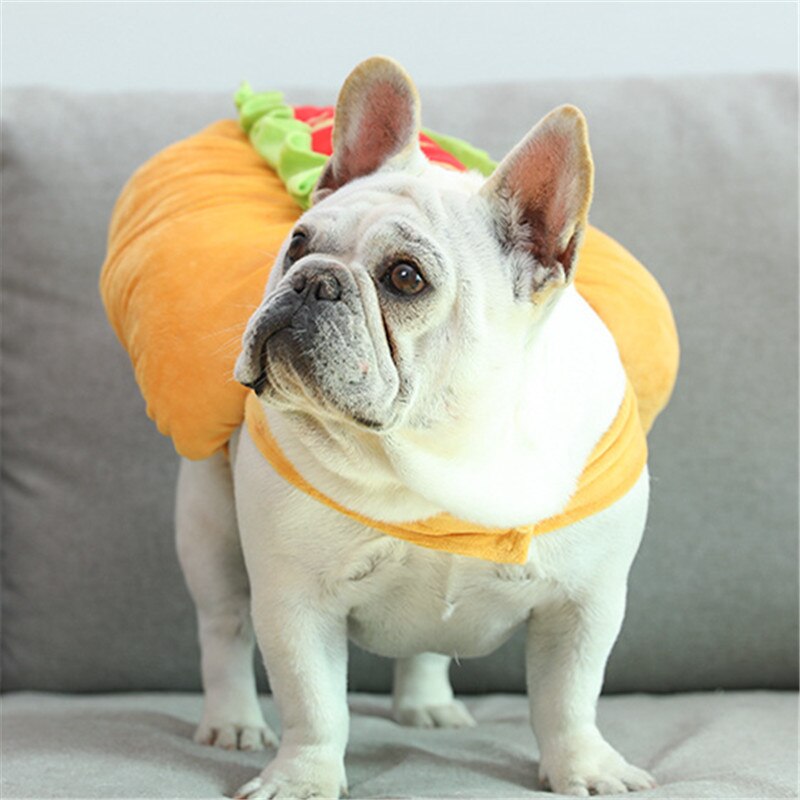 Funny Dog Clothes French Bulldog Clothing Winter P... – Vicedeal