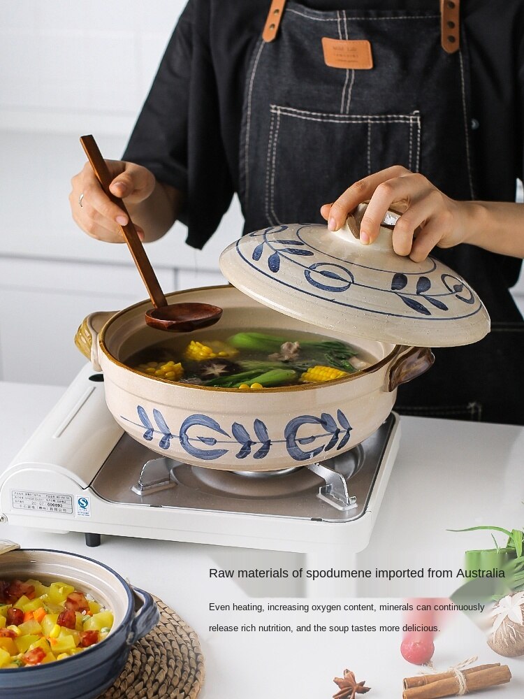 Japanese-Style Casserole/Stewpot Chinese Casserole... – Grandado