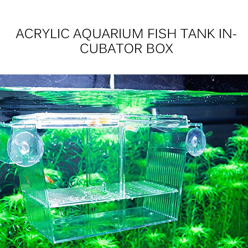Transparent Acrylic ABS Isolation Fish Breeding Bo... – Grandado