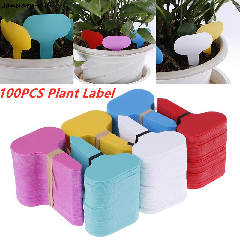 100Pcs Plant Tags T Type Plant Markers Kleurrijke ... – Vicedeal