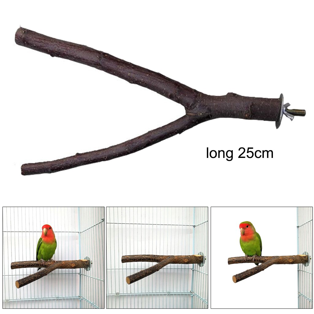Wood Parrot Stand Tree Branch Resk Holder Toys Per... – Vicedeal