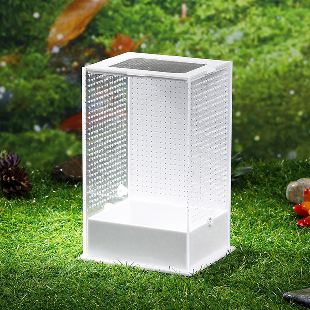 Transparent Acrylic Reptile Feeding Box Insect Box... – Grandado