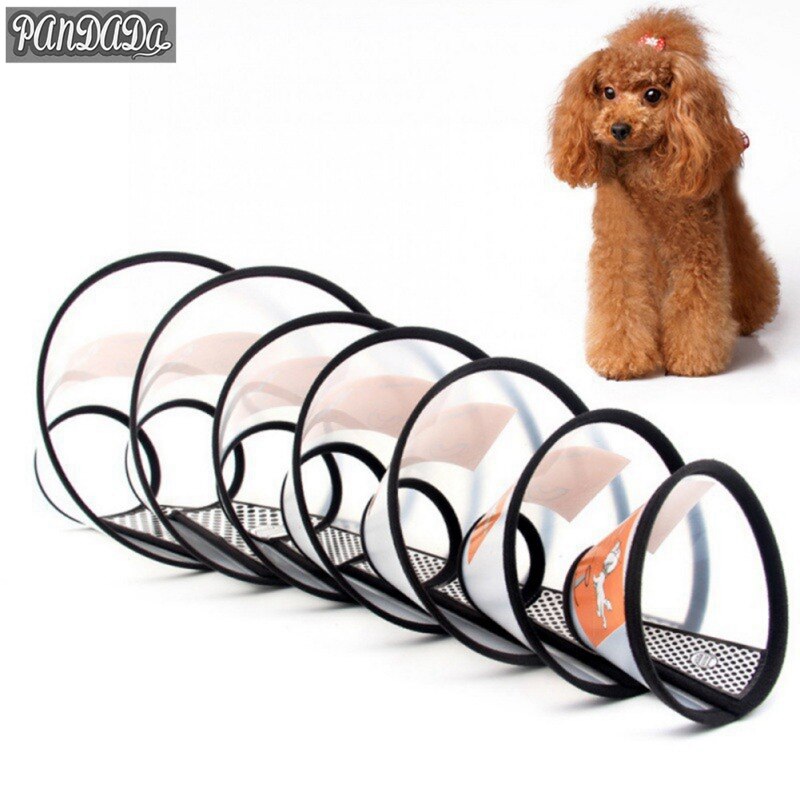Puppy Dog Cone Elizabethan Collar Pet Dog Protecti... – Vicedeal