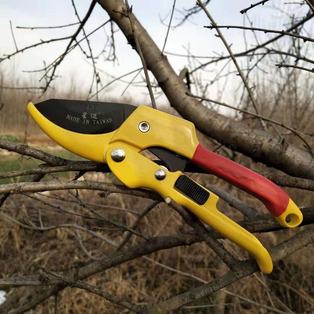 SK-5 Labor-Saving Branch and Leaf Scissors pulley ... – Vicedeal