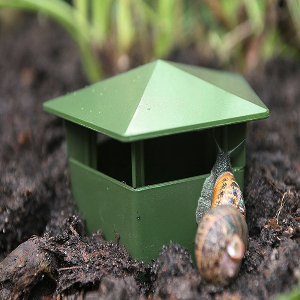 Box Snail Trap Slug Farm Protector Reptile Leech E... – Grandado