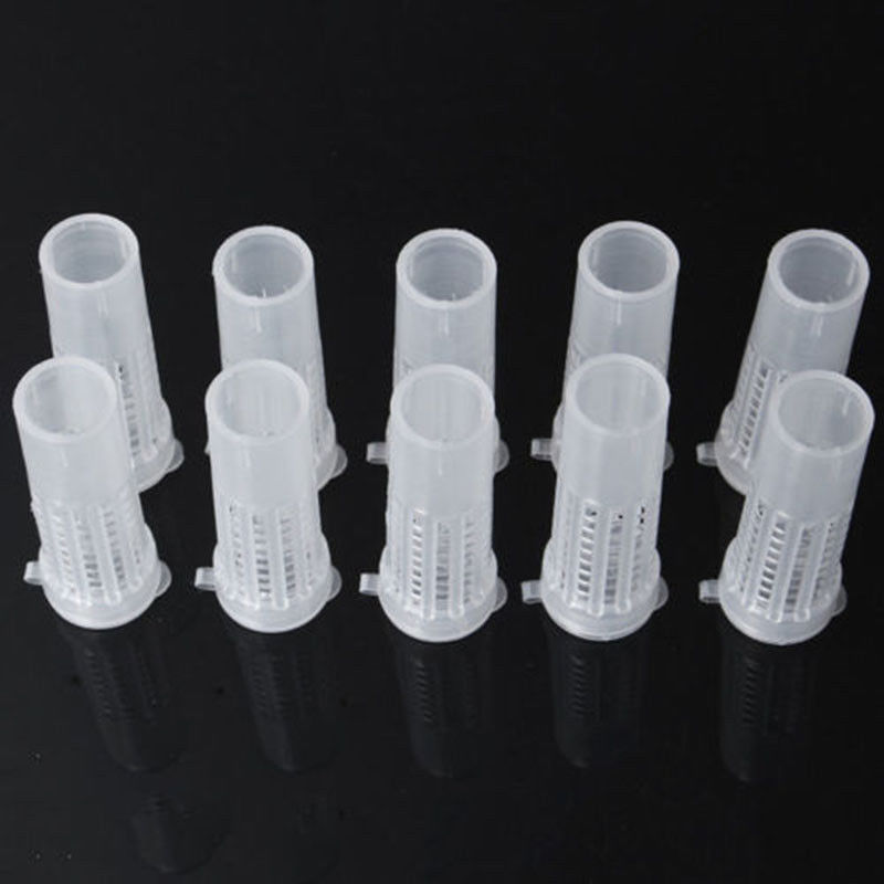 100 Set/lot Beekeeping Rearing Cup Kit Queen Reari... – Grandado