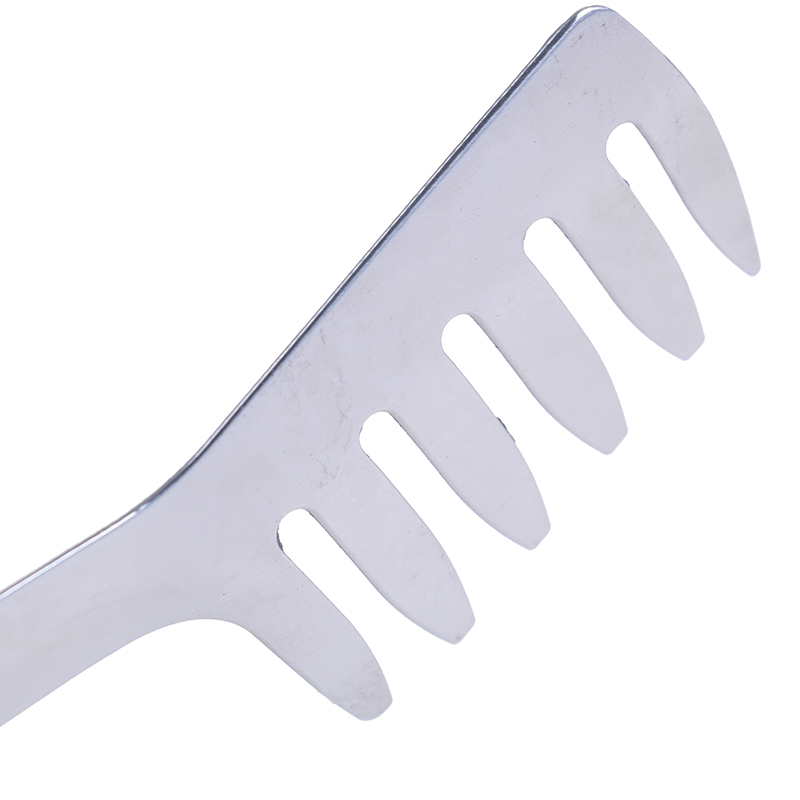 Stainless Steel Food Comb Clip Spaghetti Thongs No... – Grandado