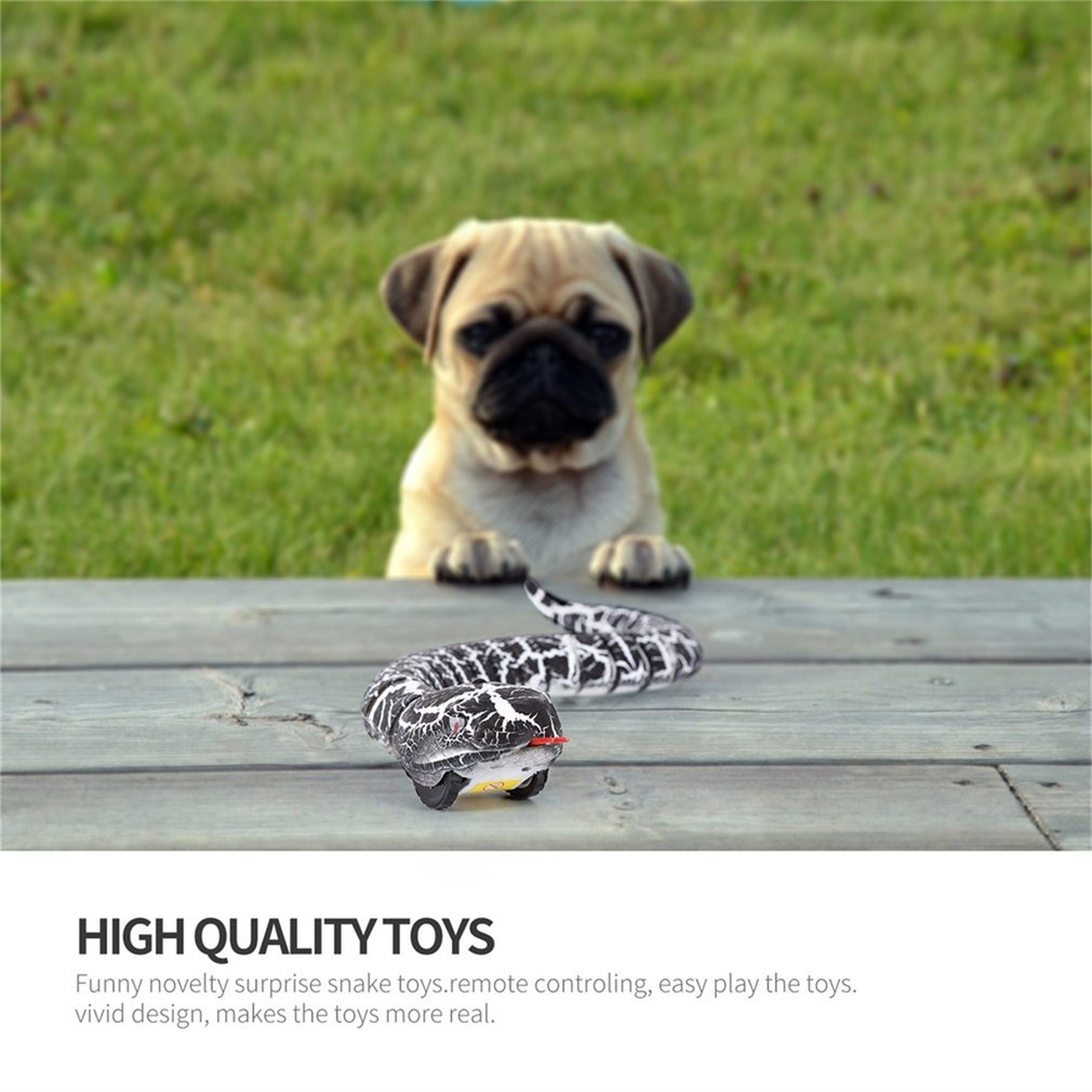 RC Remote Control Snake And Egg Rattlesnake Animal... – Grandado