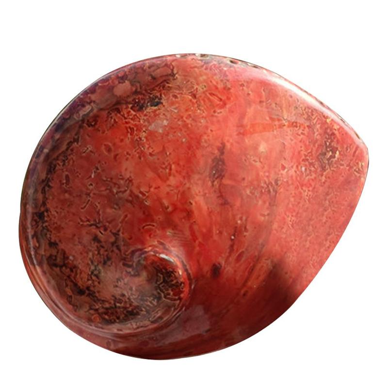 13-15cm Natural Red Abalone And Sage Storage Home ... – Vicedeal