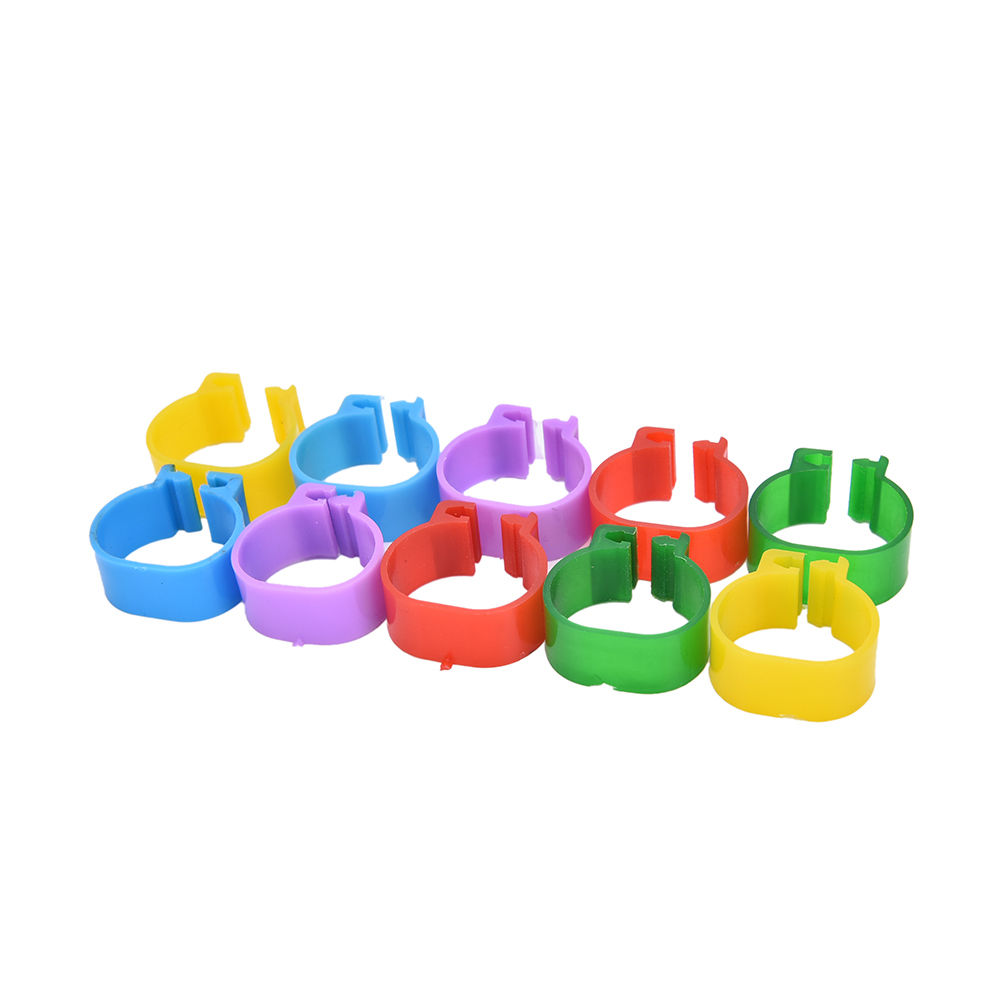 100 pcs/lot Chicken Leg Bands Chicken Poultry Ring... – Grandado