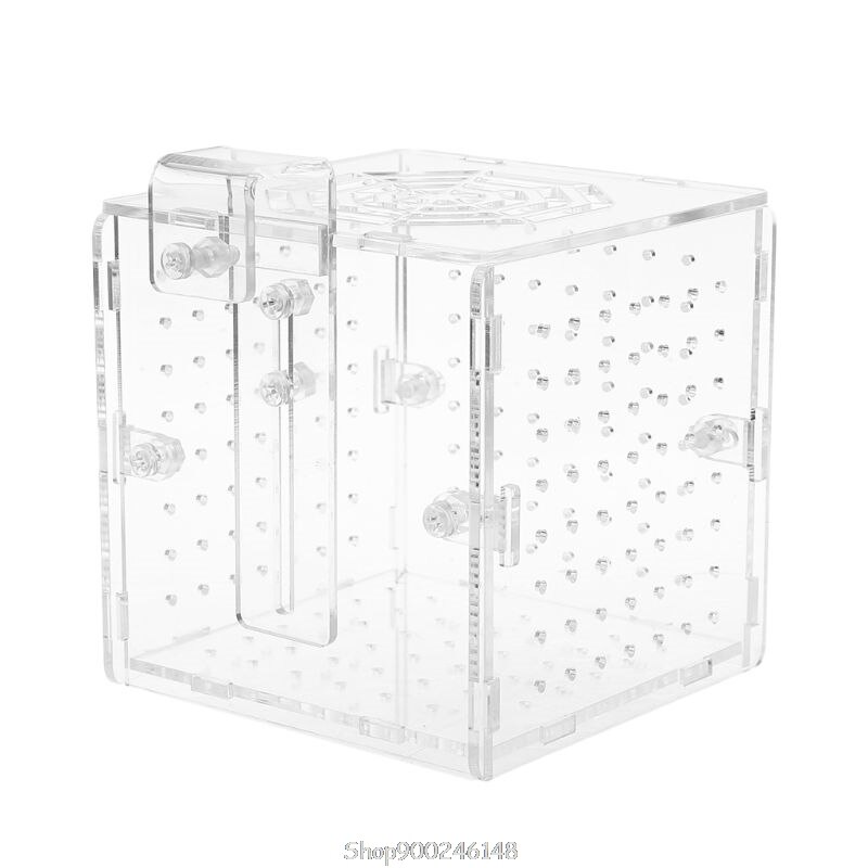 Acrylic Aquarium Fish Breeding Isolation Box With ... – Vicedeal