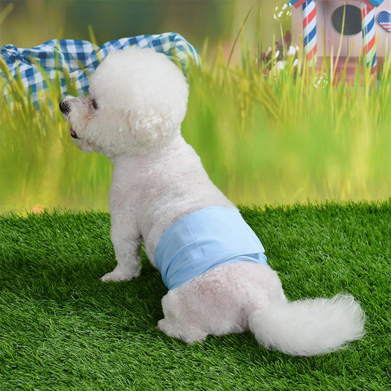Male Dog Diaper Waterproof Pet Diapers Puppy Physi... – Grandado