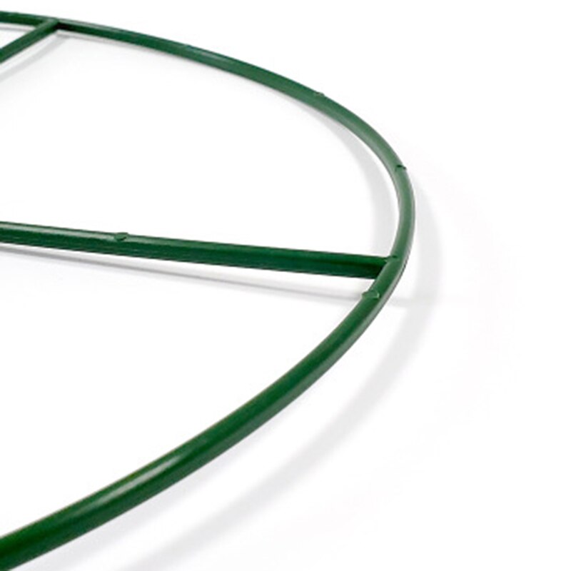 10 Inch Flower/Plant Support Rings Garden Cane Sup... – Grandado