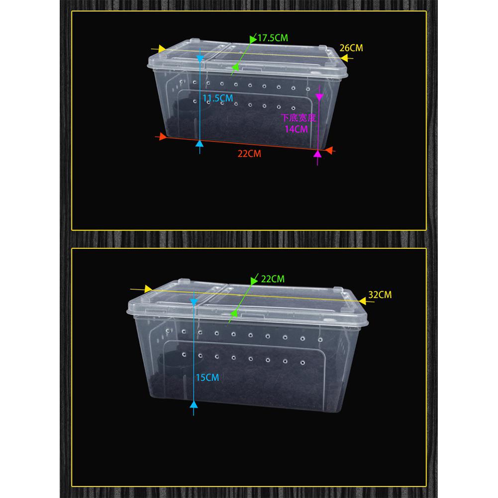 Adeeing Transparent Feeding Box Reptile Box Amphib... – Vicedeal