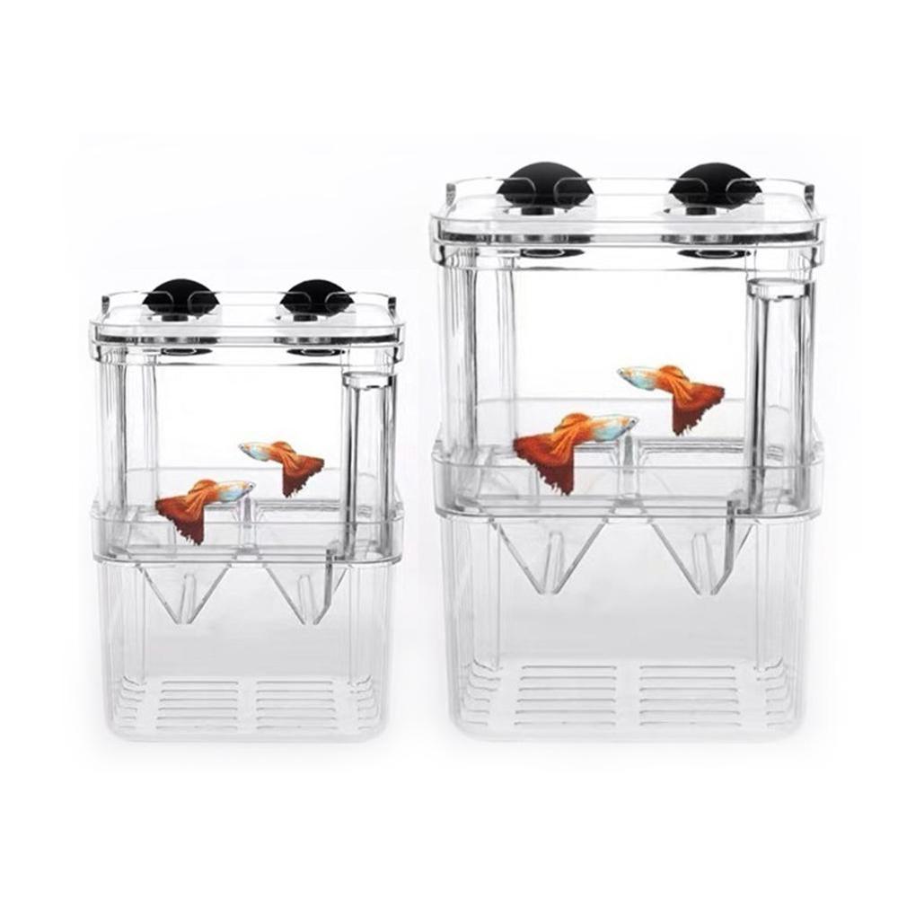 Large Acrylic Fish Breeding Box Aquarium Breeder B... – Grandado