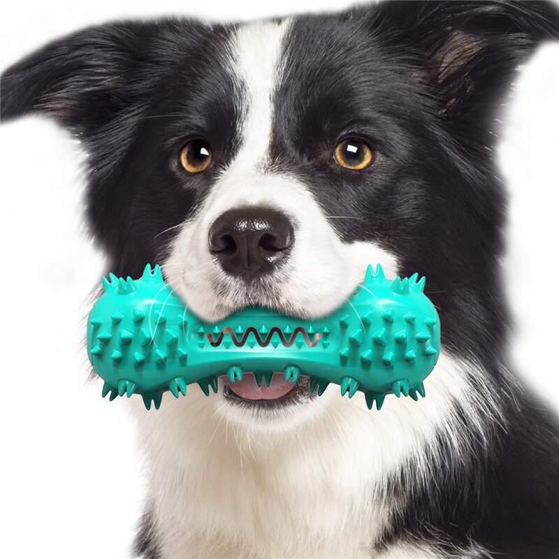 Pet Dog Toothbrush Stick Pet Chew Squeaky Bone Toy... – Vicedeal