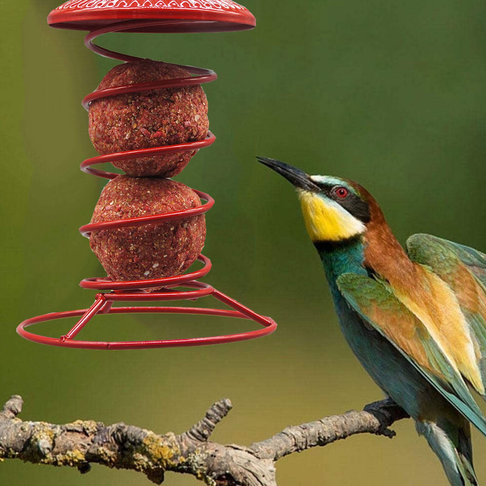 Wild Bird Feeder Hanging Automatic Bird Feeder Out... – Grandado