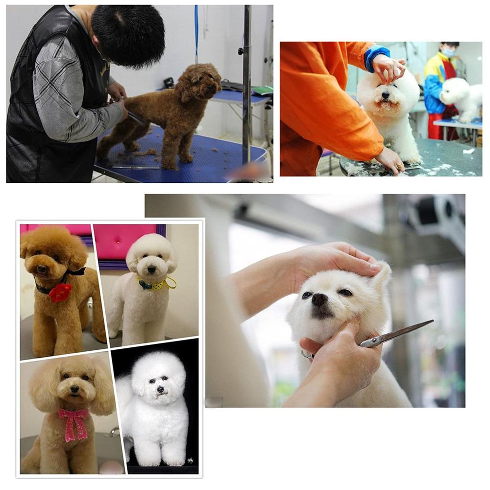 Pet Grooming Scissor Shear Silver Product – Vicedeal