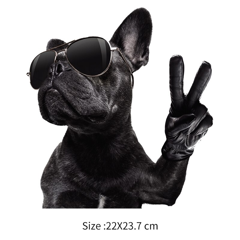 Cool Dier Thermische Patches Voor Kleding Diy Deco... – Vicedeal