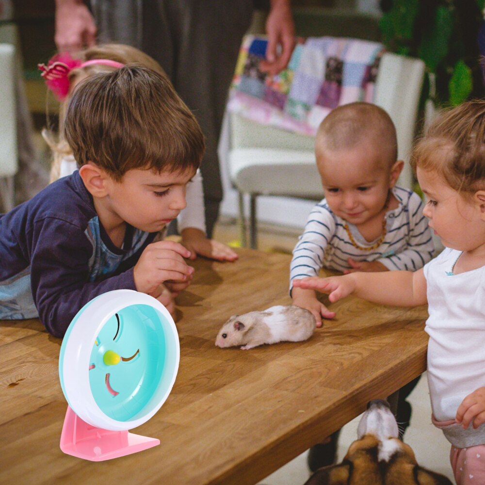 Hamster Exercise Wheel 18cm Pet Exercise Hamster W... – Grandado