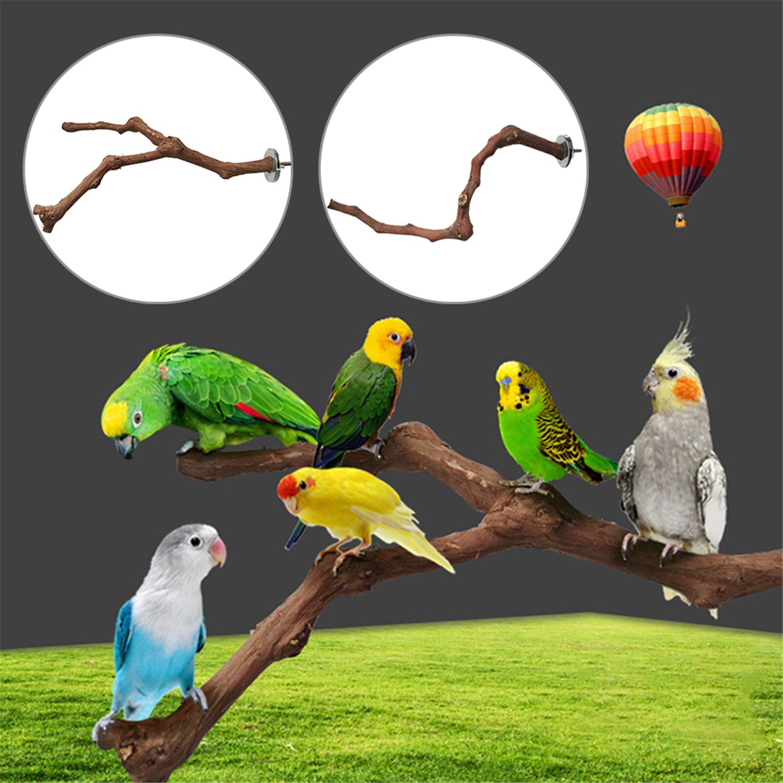 Pet Parrot Bird Standing Stick Grape Wood Pole Bir... – Grandado