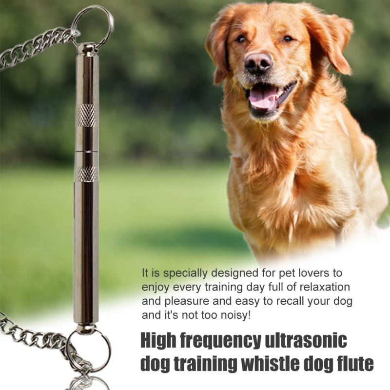 Practical Training Tools Dog Whistle Flute High Fr... – Grandado