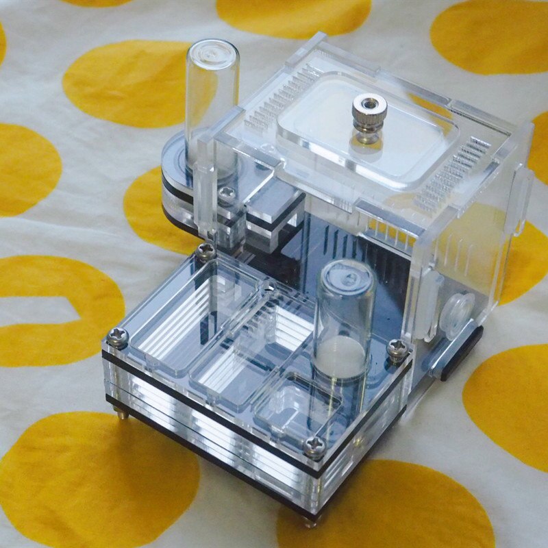 Mini Acrylic Ant Nest Palm Ant Castle Ant Pet Farm... – Vicedeal