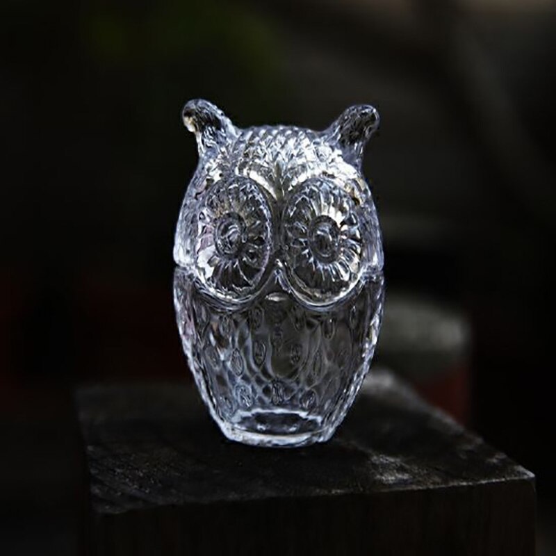 European Transparent Glass Owl Candy Jar Simple Ho... – Grandado