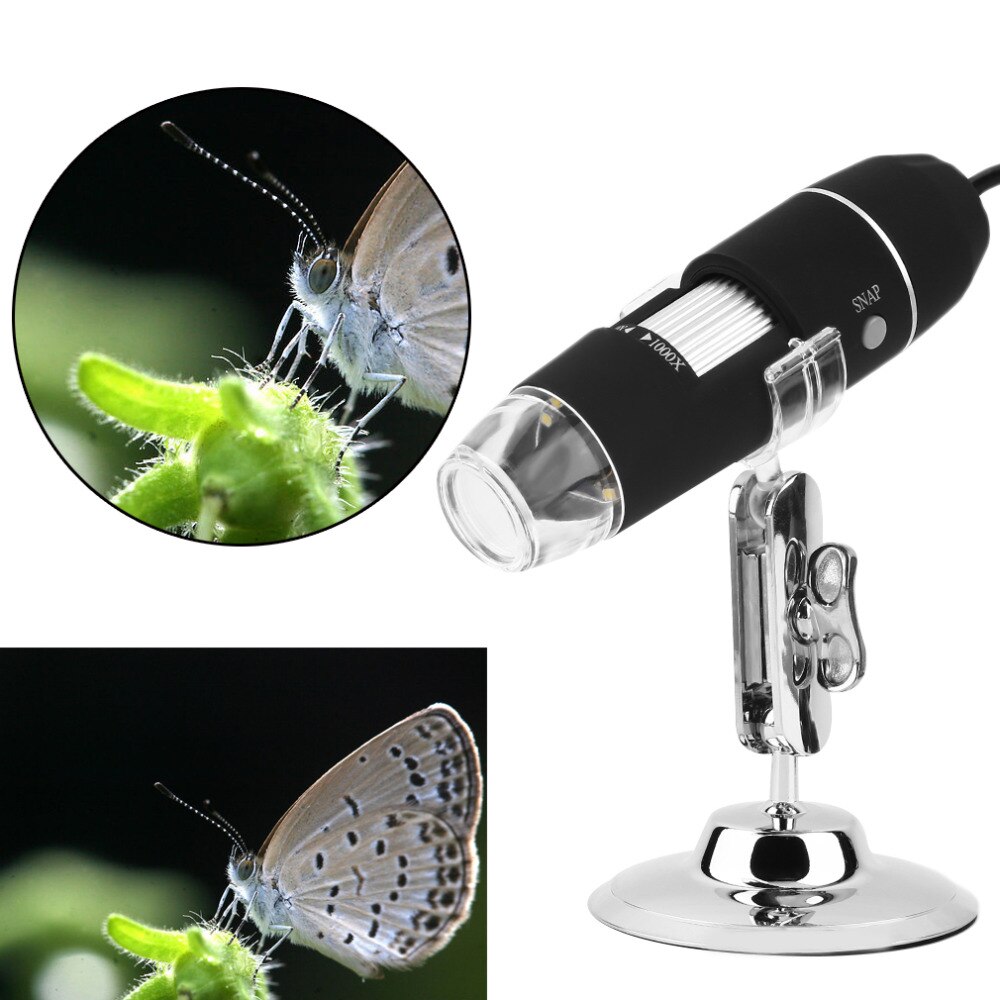 Mega Pixels 8 LED 1000X USB Digital Microscope End... – Grandado