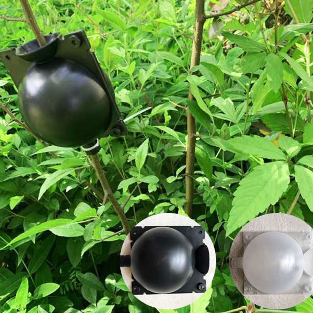 Newly 1/3pcs High Pressure Plant Rooting Ball Graf... – Grandado