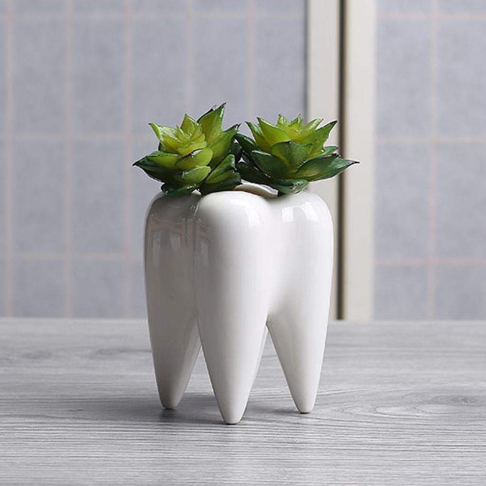 Teeth Shape Ceramic Flowerpot Innovation Modern Wh... – Grandado