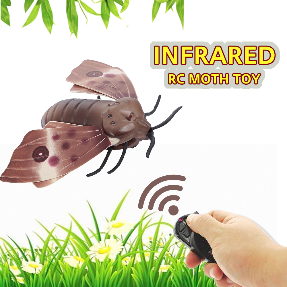 RC Animal Remote Control Moth Toys Simulated Insec... – Grandado