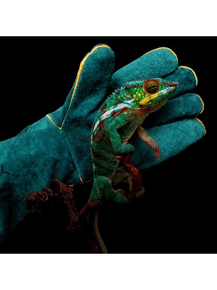 Wild Animals Handling Gloves Bite Proof Scratch Re... – Vicedeal