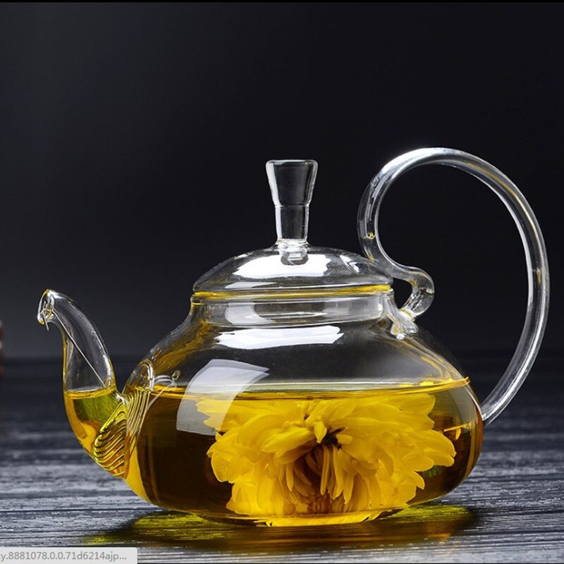 glass teapot 260ml-600ml, Long big handle glass te... – Grandado
