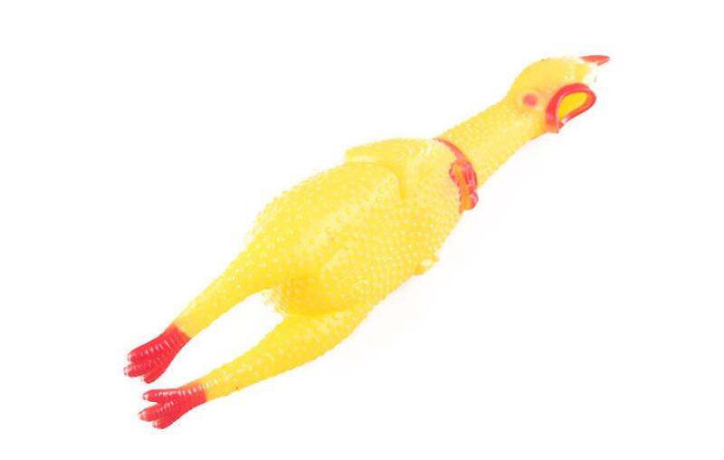 3 Sizes Classic Screaming Chicken Pets Dog Toys Sq... – Vicedeal