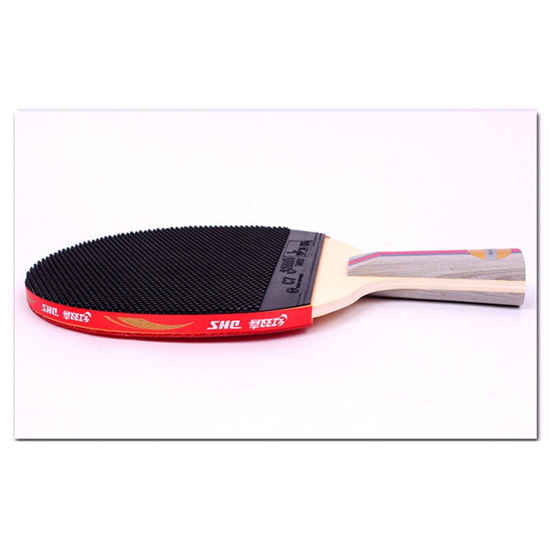 DHS T3003 T3007 table tennis racket finished racke... – Vicedeal