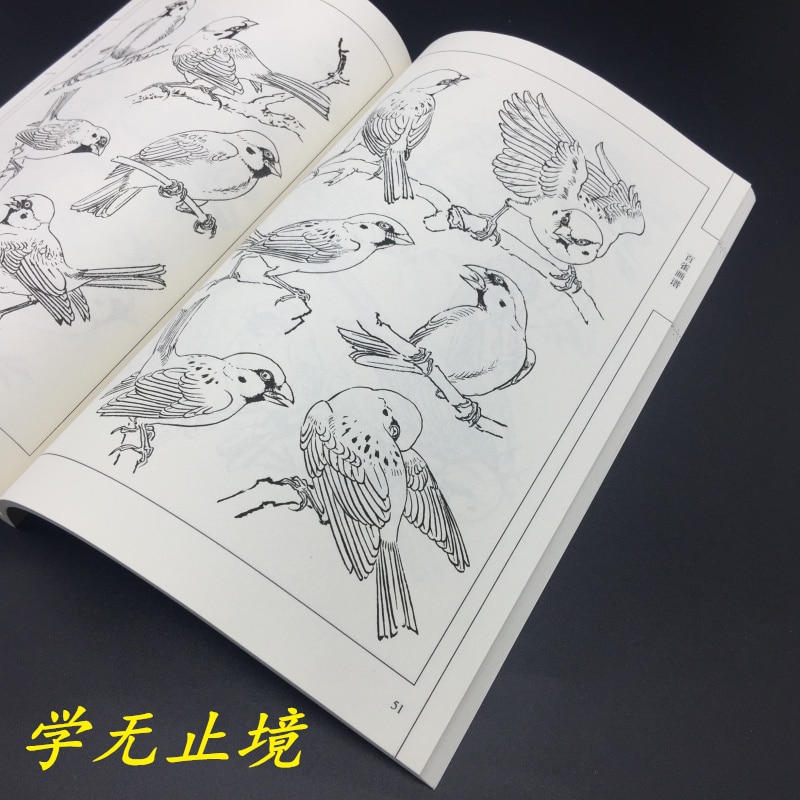 Chinese Painting Book For Sparrow Painting Xian Mi... – Vicedeal
