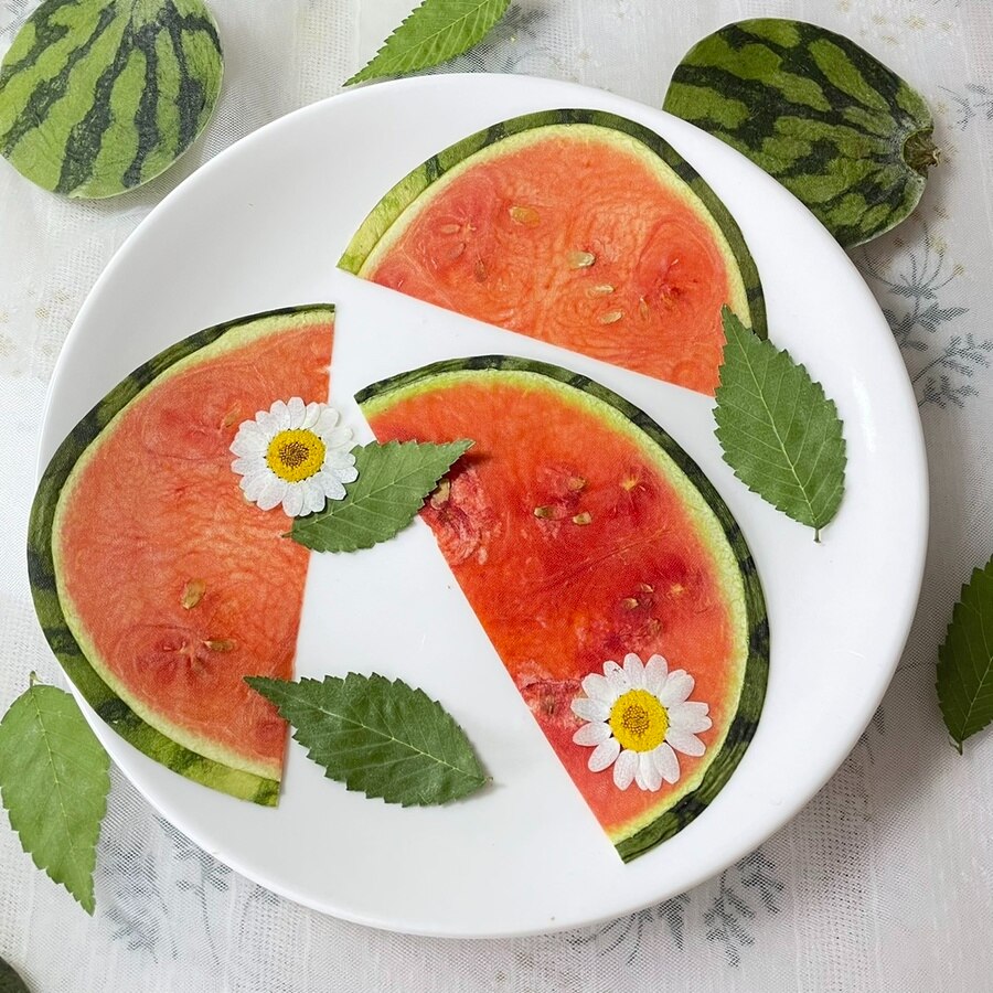 10pcs Dried Pressed Half-round Watermelon Fruit Sl... – Vicedeal