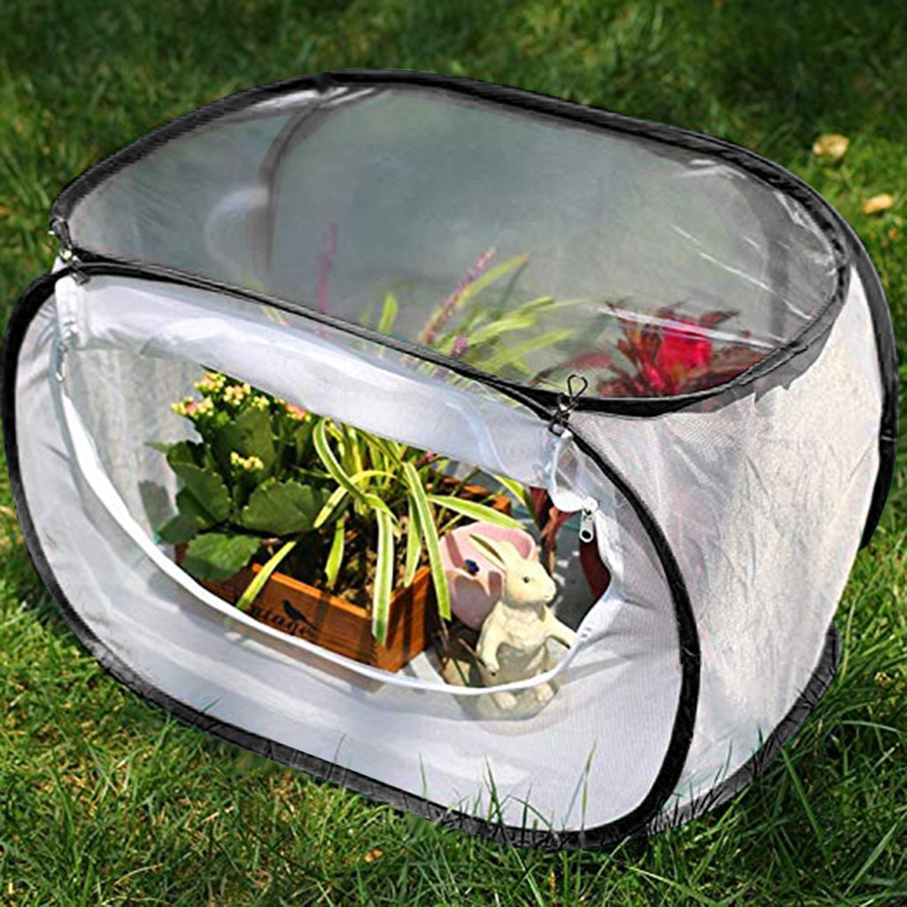 Portable Collapsible Insect Butterfly Habitat Cage... – Grandado