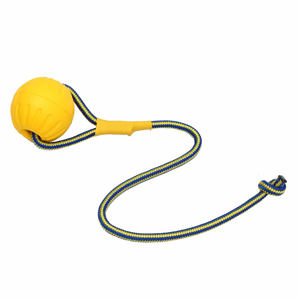 Dogs Chew Ball Training Toys Teeth Indestructible ... – Vicedeal