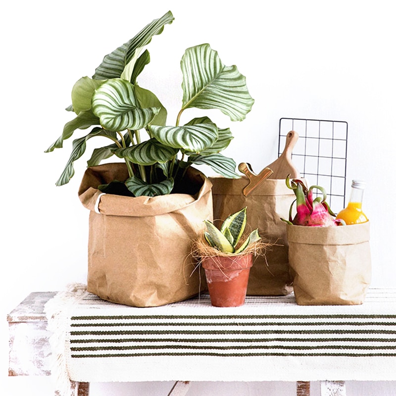 Mult size Nursery Pot Washable Kraft Paper Flowerp... – Vicedeal