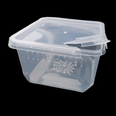 Transparent Plastic Insect Habitat Feeding Box Con... – Grandado