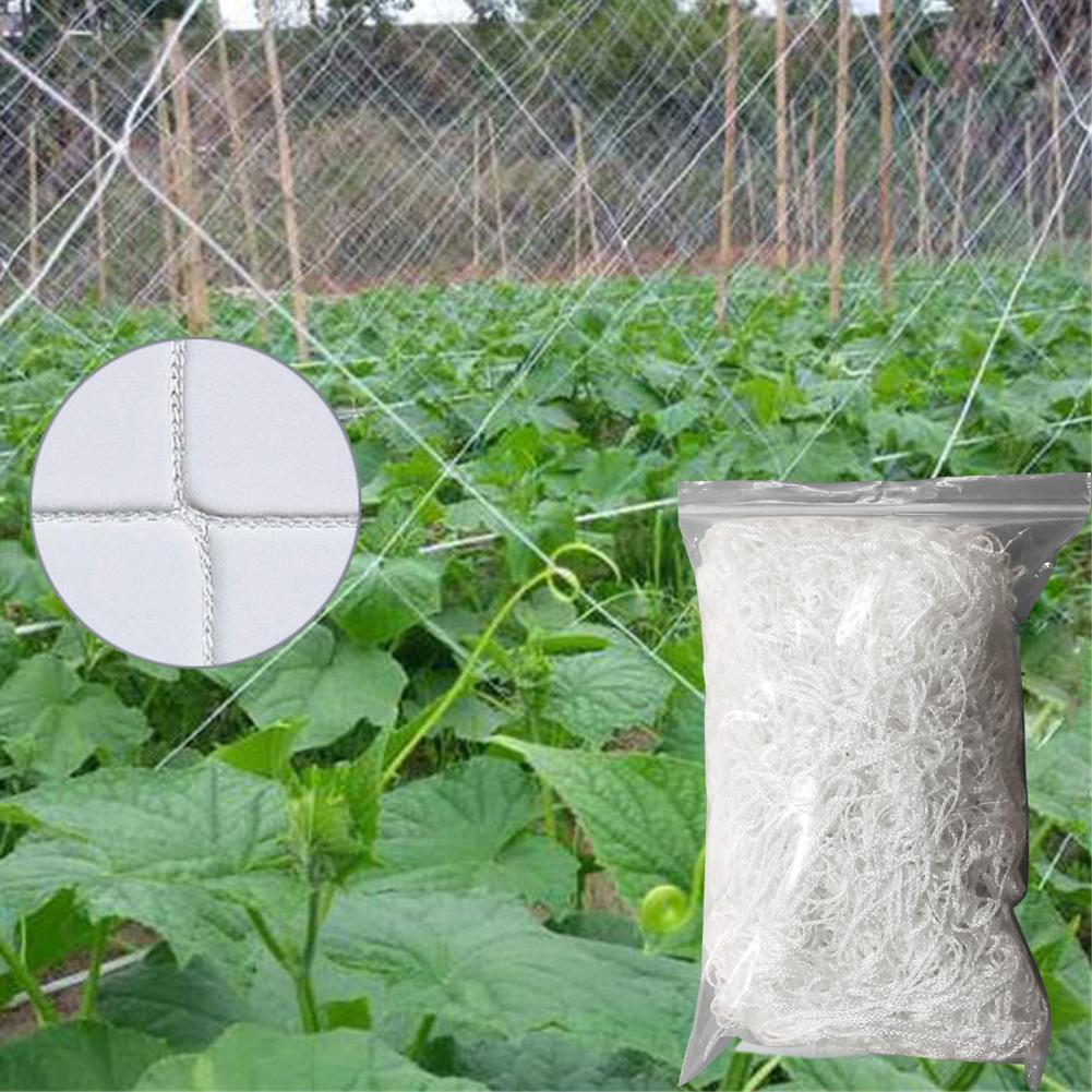 1.7x20m Plant Trellis Netting Plant Climbing Net W... – Vicedeal