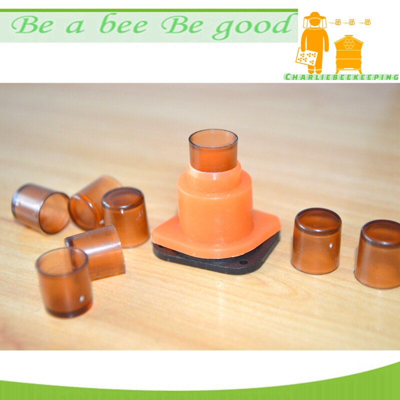 X100 Nicot Queen Cell Cup Holders and Nicot Queen ... – Grandado