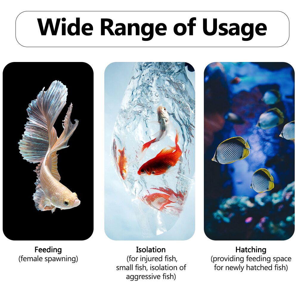 Fish Tank Aquarium Trap Box Guppy Breeding Breeder... – Grandado