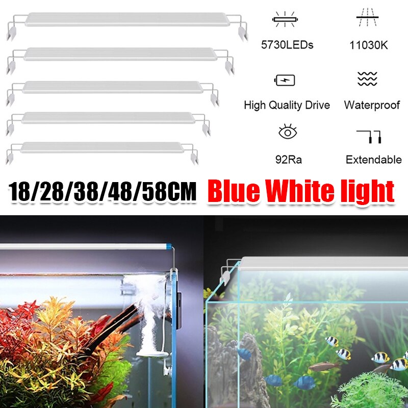 Waterproof 100-240V Underwater Light Fish Tank Lig... – Grandado
