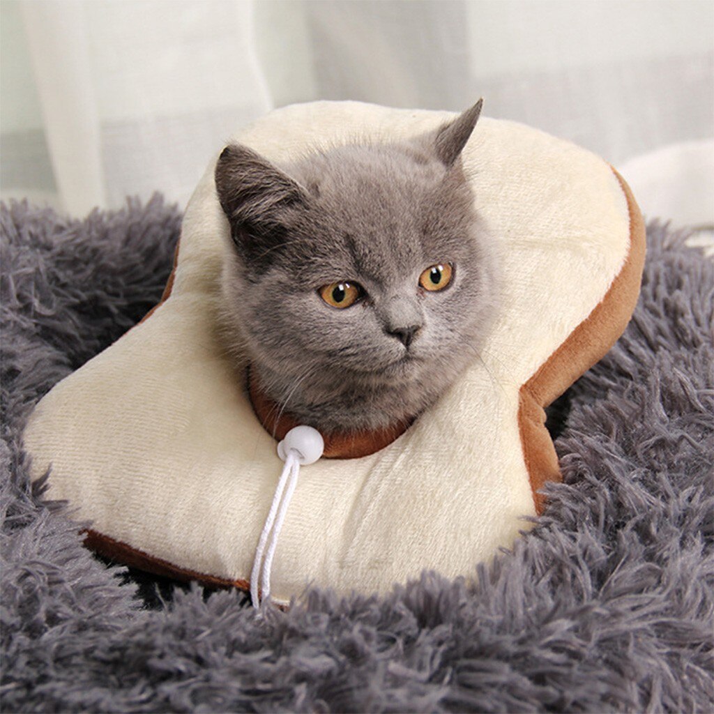Cute Pet Protective Collars For Dogs Cats Wound He... – Grandado