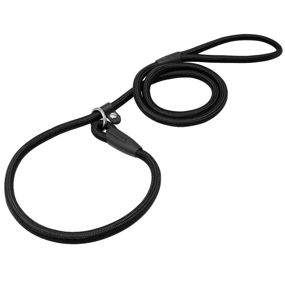 Pet Dog Nylon Rope Training Leash Slip Lead Strap ... – Grandado
